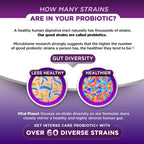 Probiotics for healthy digestive balance