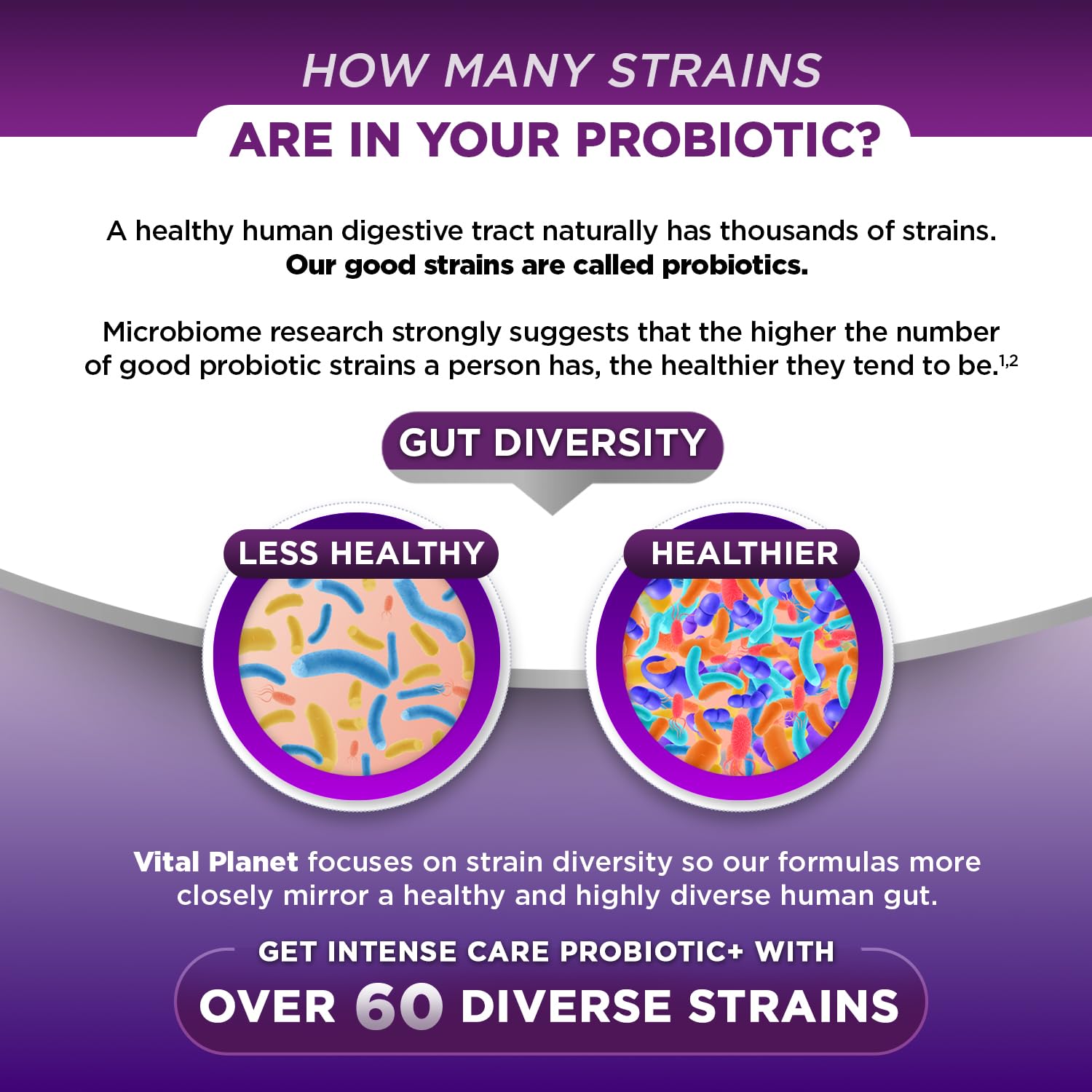 Probiotics for healthy digestive balance