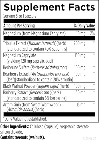 probiotics for healthy gut flora