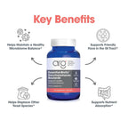Probiotics for immune system boost