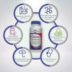 Probiotics for immune system support