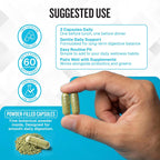 probiotics for improved digestion