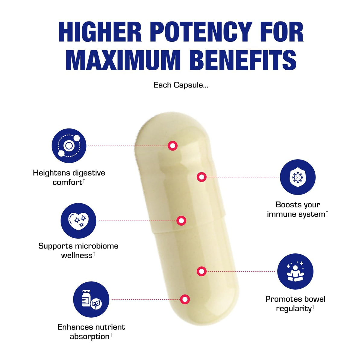 Probiotics for improved digestive comfort