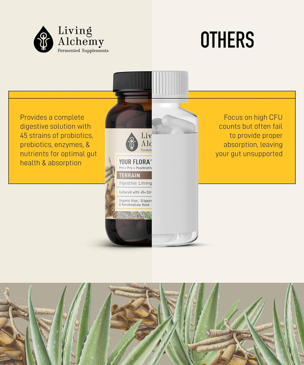 Probiotics for improved digestive comfort
