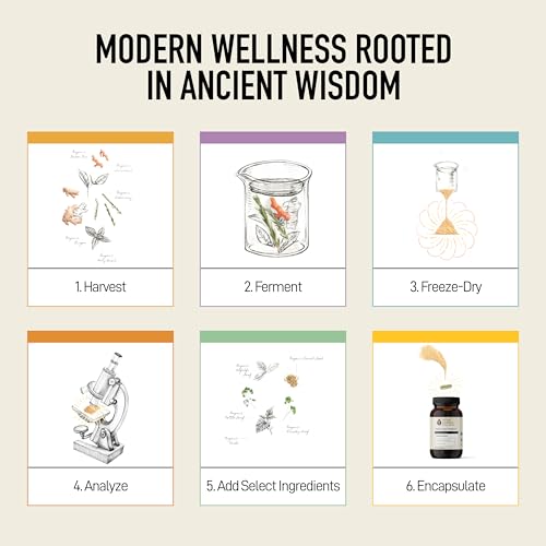Probiotics for maintaining gut flora balance