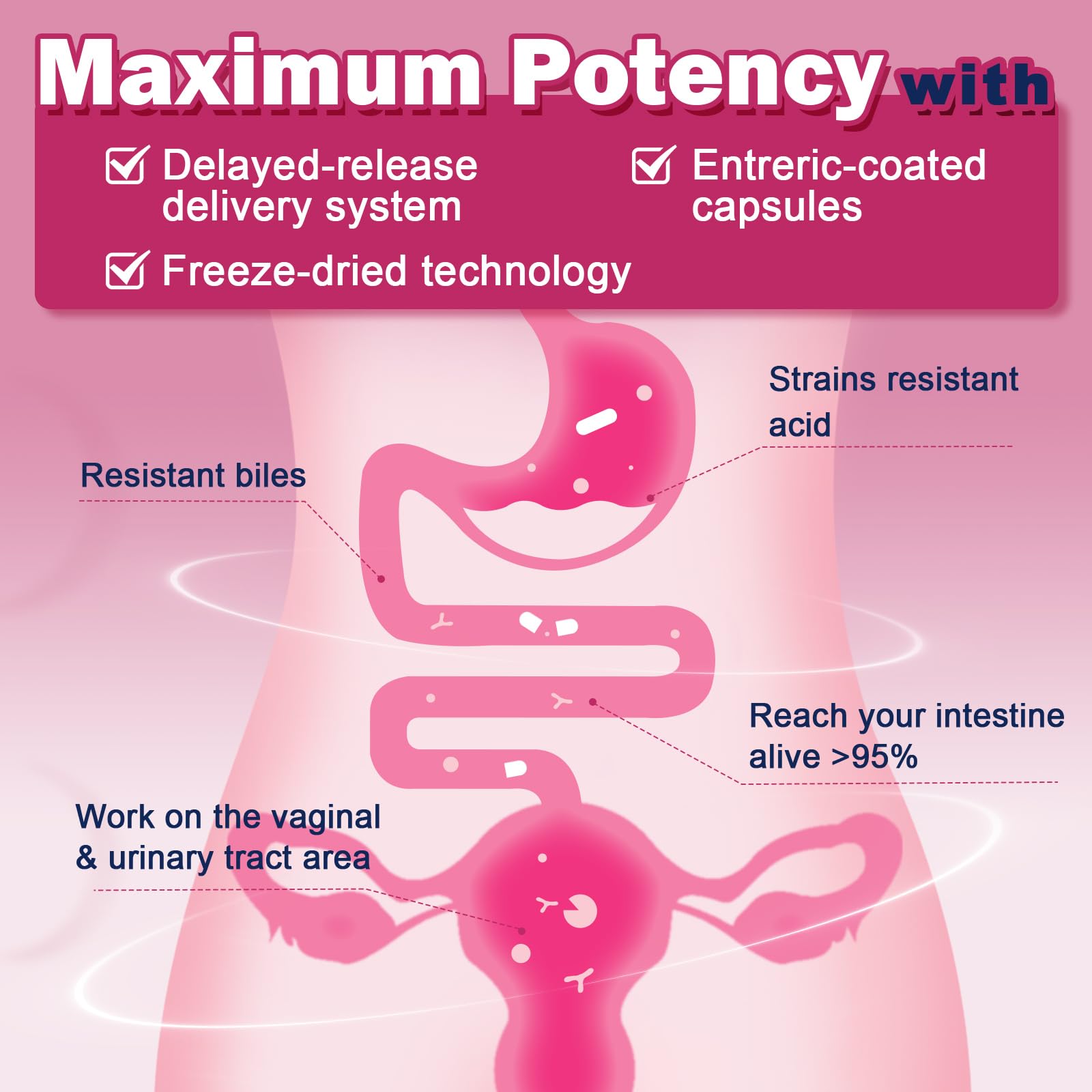 probiotics for men and women