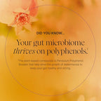 Probiotics for men by Pendulum