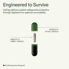 probiotics for men daily supplement