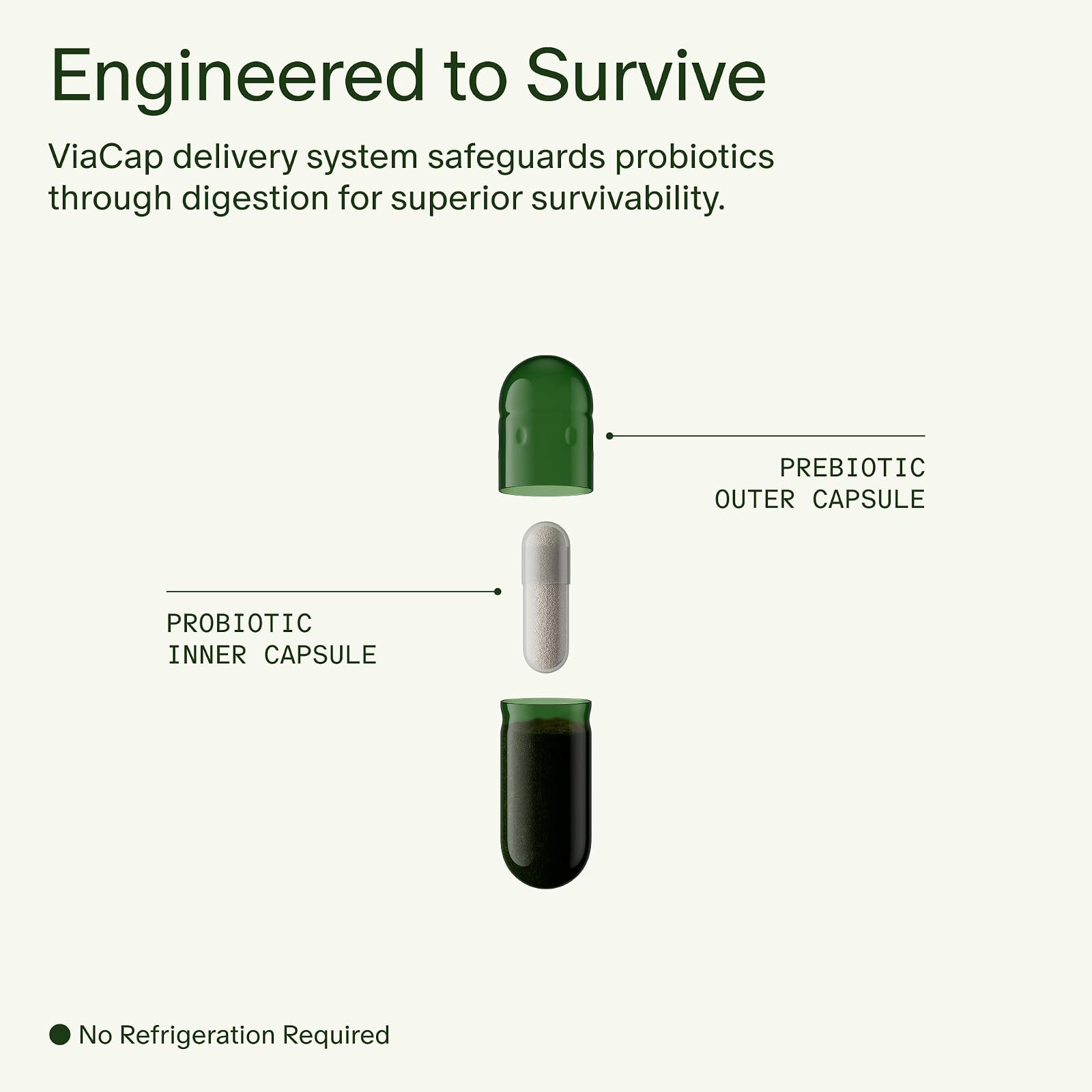 probiotics for men daily supplement