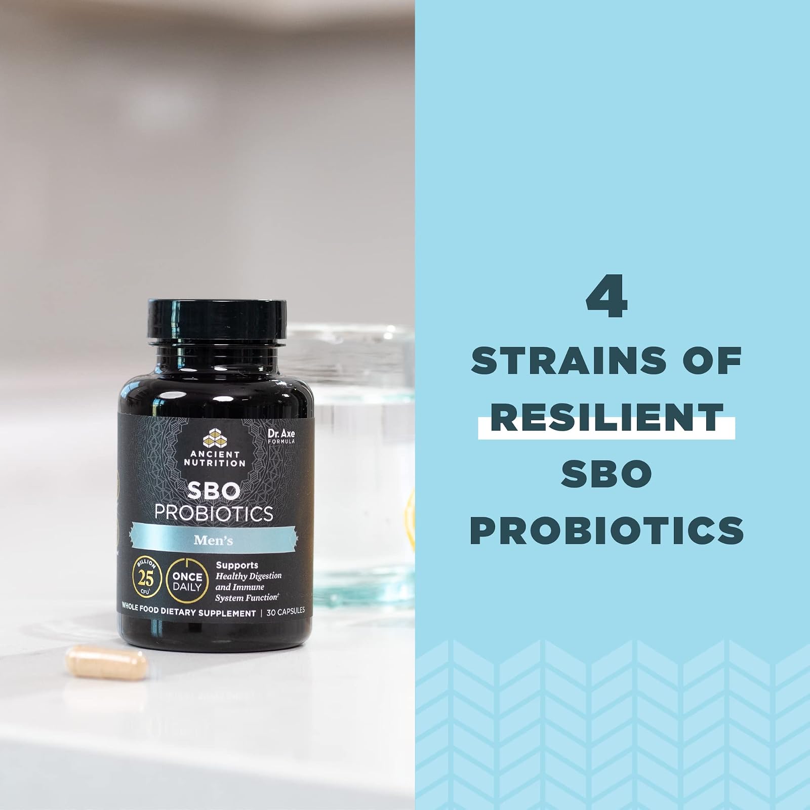 probiotics for men daily wellness