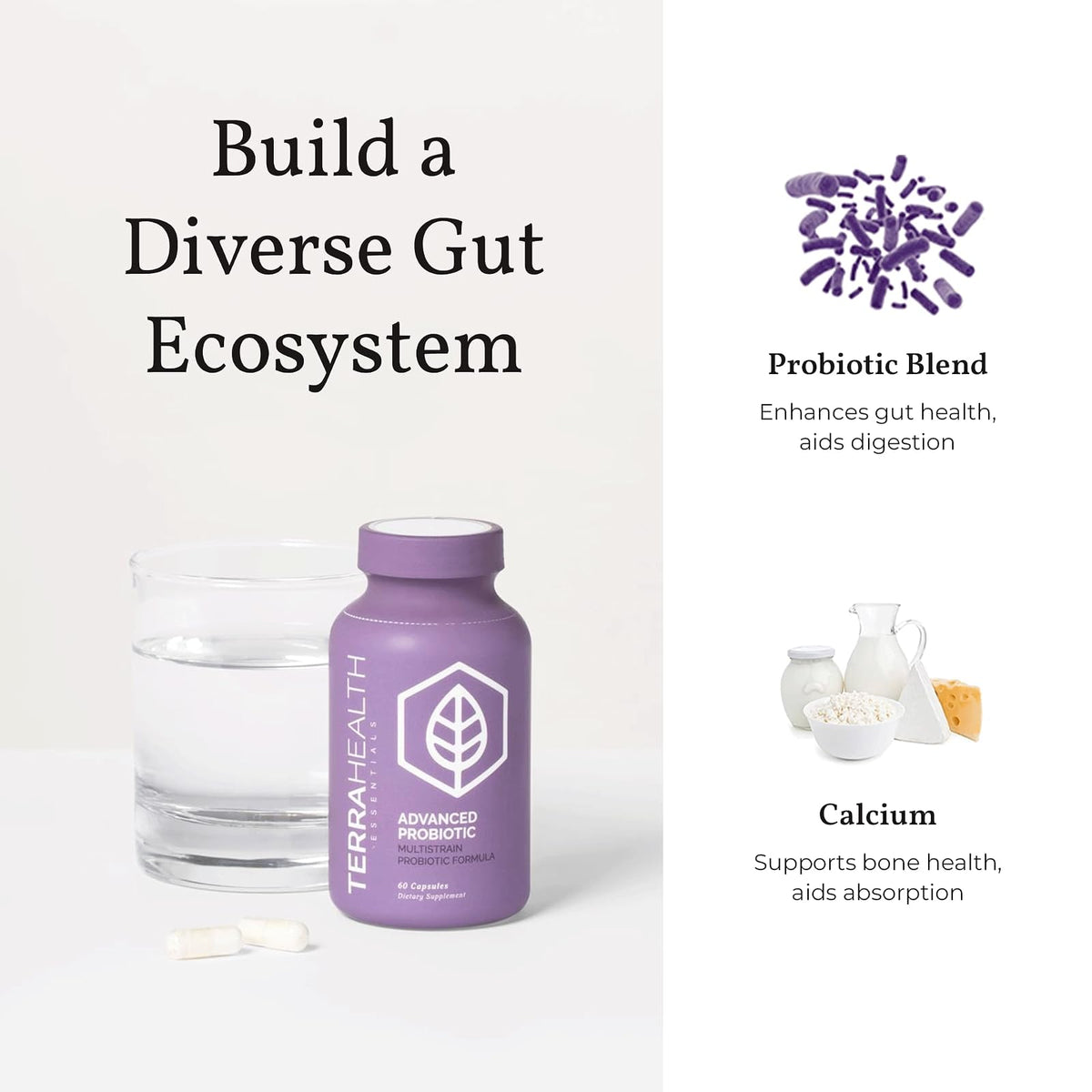 probiotics for men daily wellness