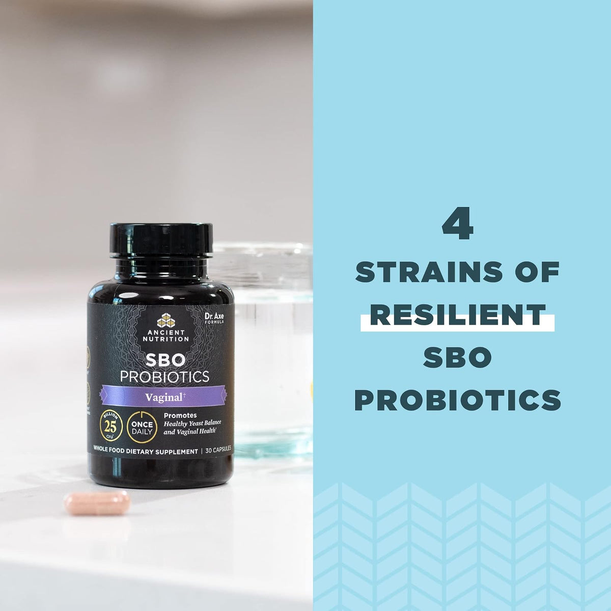 probiotics for men daily wellness