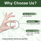 probiotics for men daily wellness