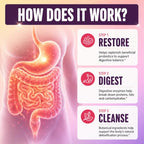 probiotics for men digestive health