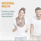 probiotics for men digestive health