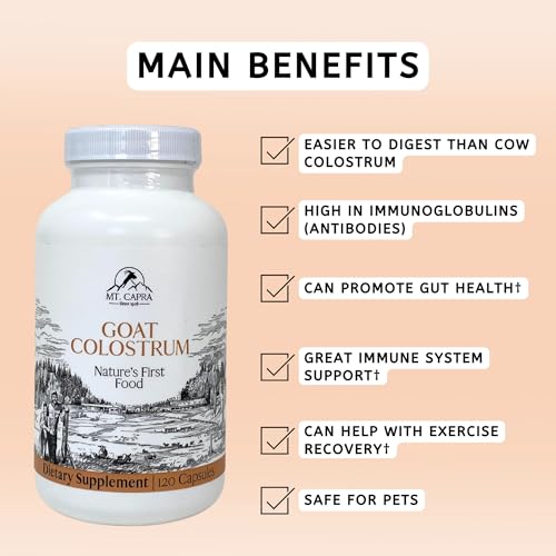 probiotics for men digestive health
