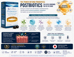 probiotics for men digestive support