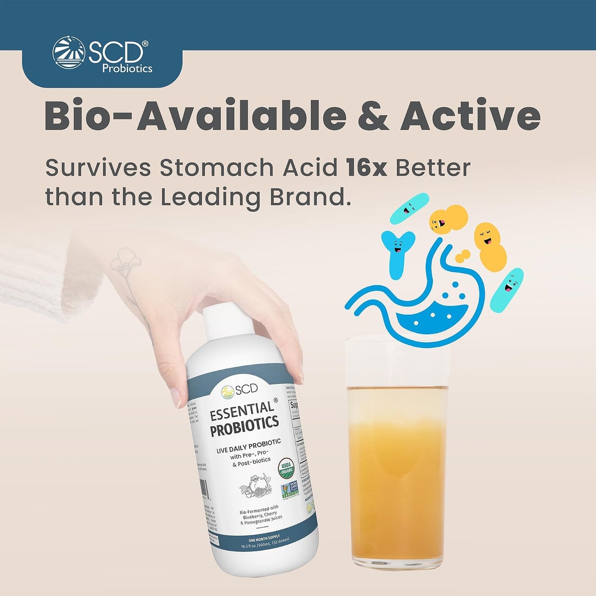 probiotics for men digestive support