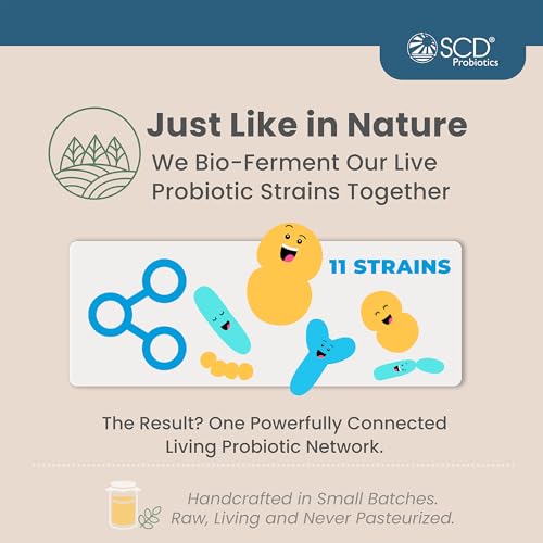 probiotics for men digestive wellness