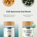 probiotics for men digestive wellness
