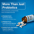 probiotics for men gut balance