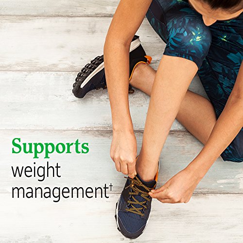 probiotics for men gut support
