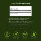 probiotics for men gut support