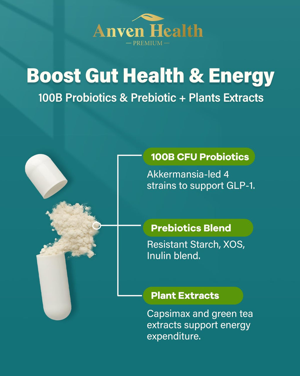 probiotics for men immune boost