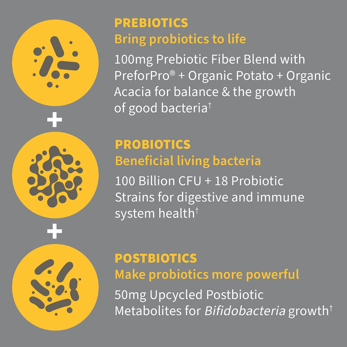 probiotics for men immune boost