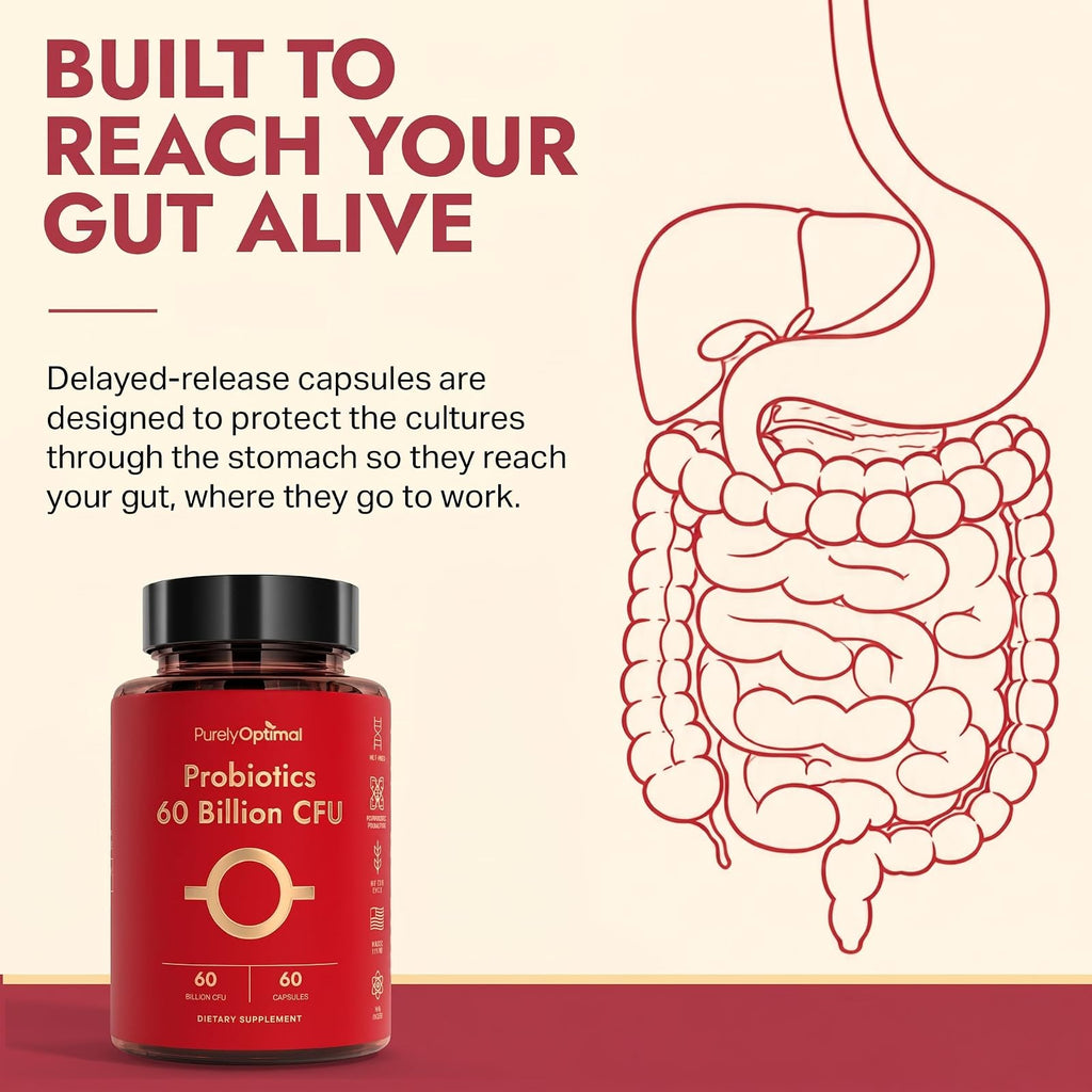 probiotics for men immune boost