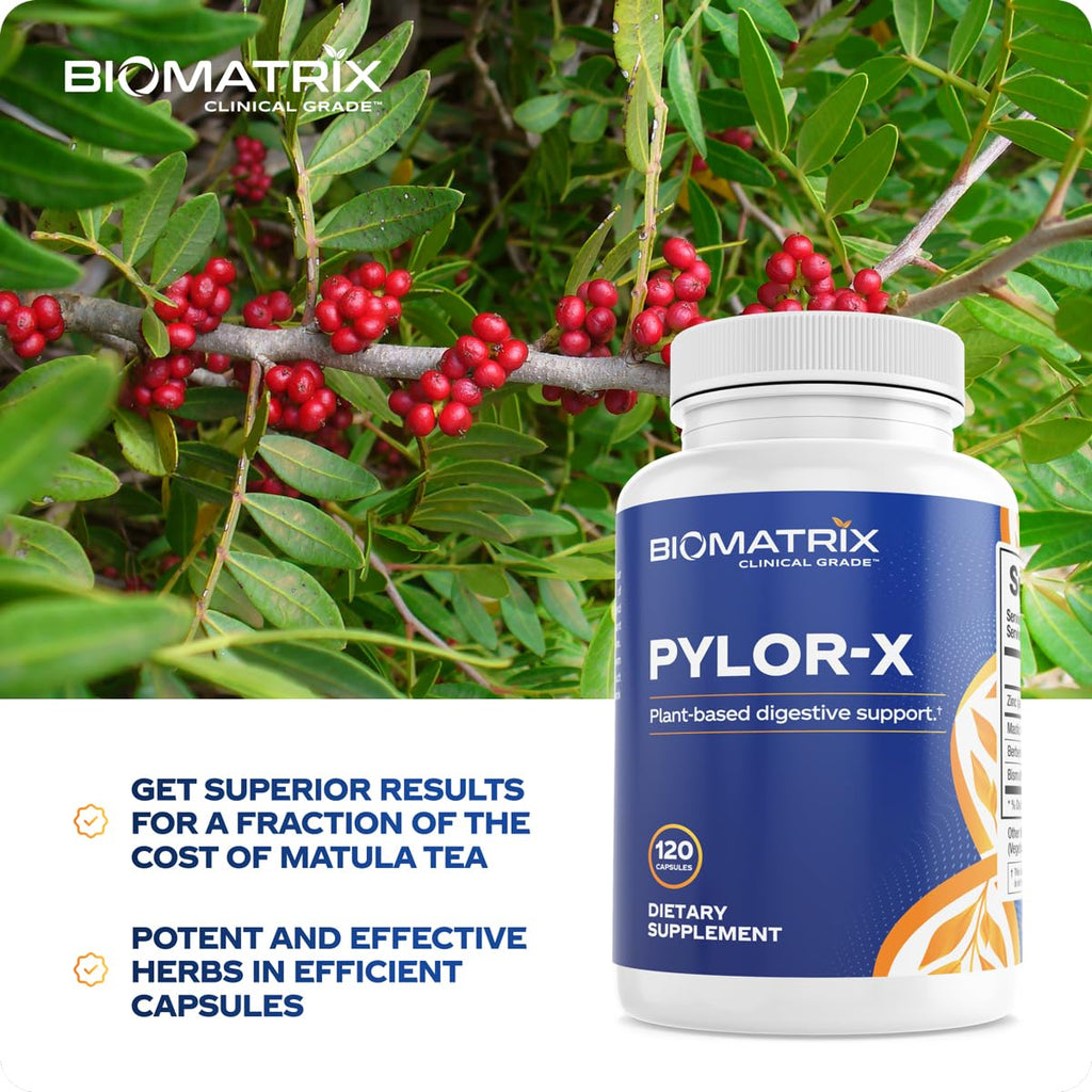probiotics for men immune boost