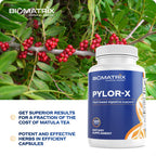 probiotics for men immune boost