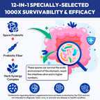 probiotics for men immune boost