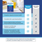 probiotics for men immune boost