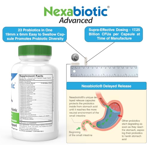 probiotics for men immune boost