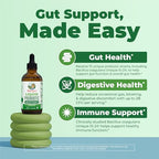 probiotics for men immune boost
