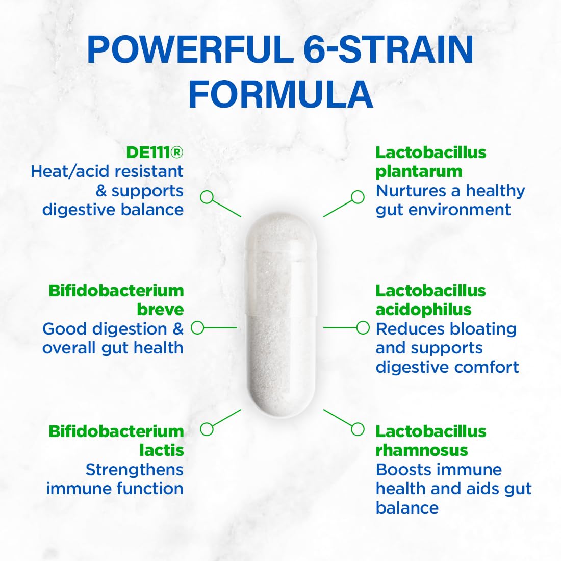 probiotics for men immune support