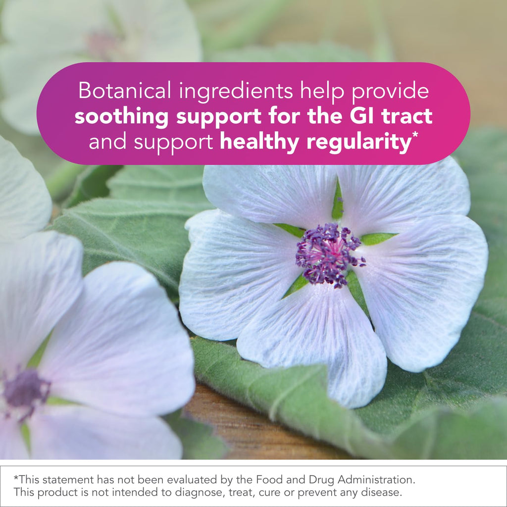 probiotics for men immune support