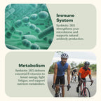 probiotics for men immune support