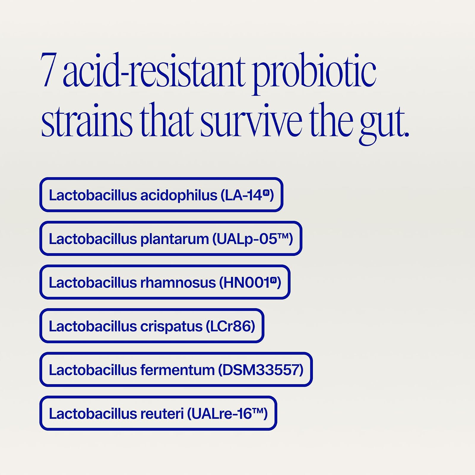 Probiotics for men in convenient powder form