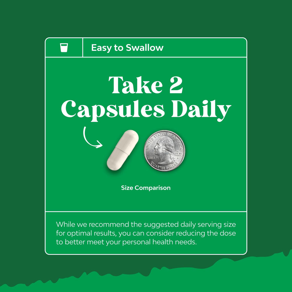 probiotics for men’s digestive balance