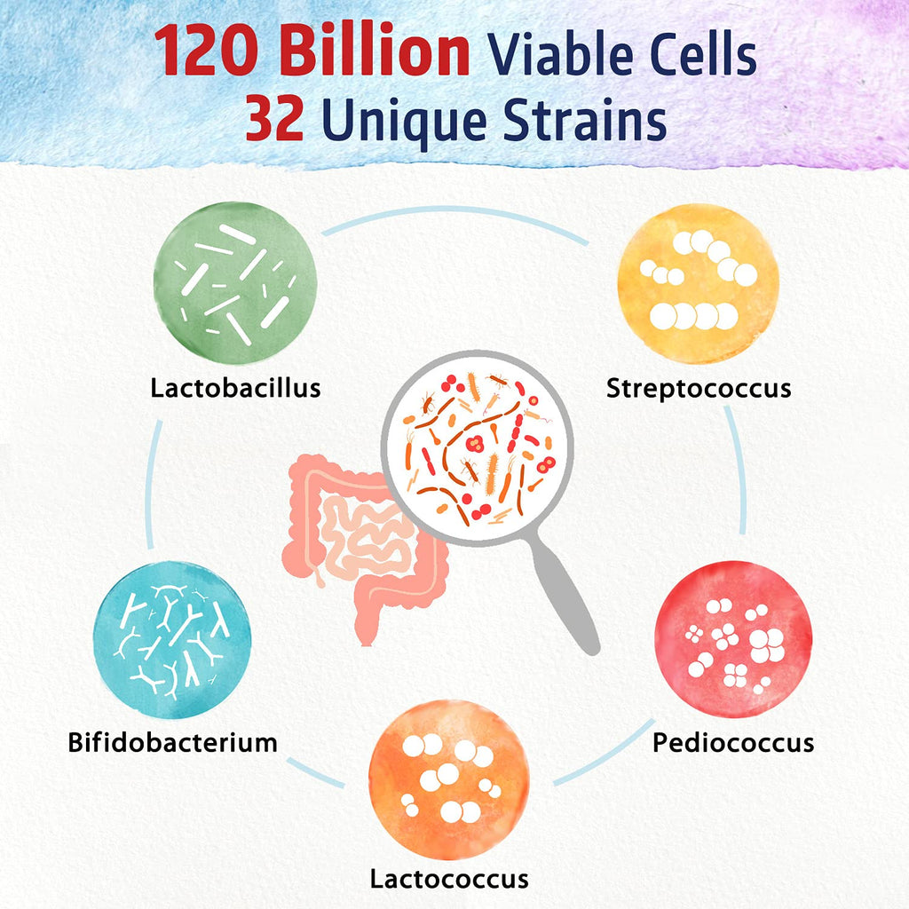 probiotics for men’s digestive health