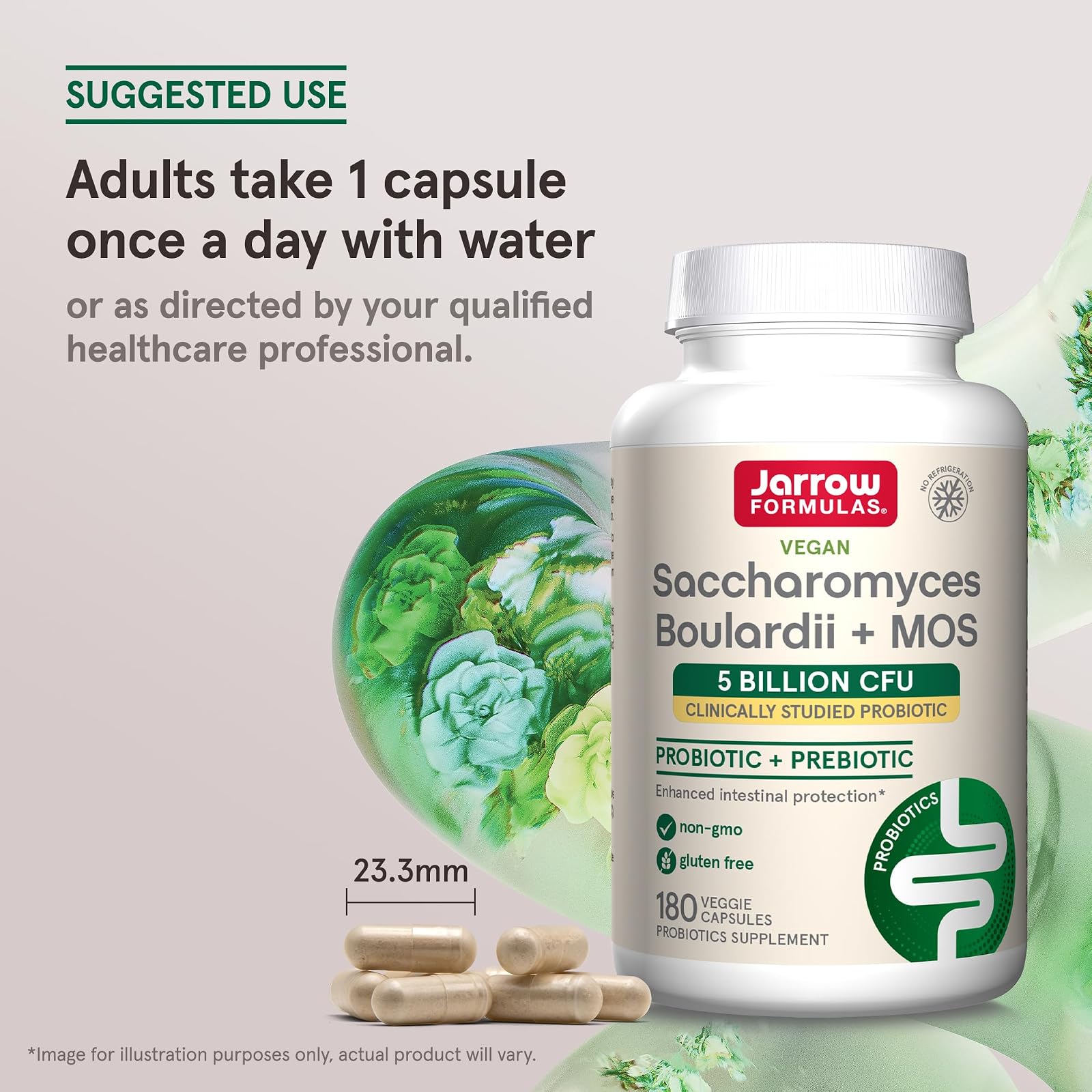 probiotics for men’s digestive support