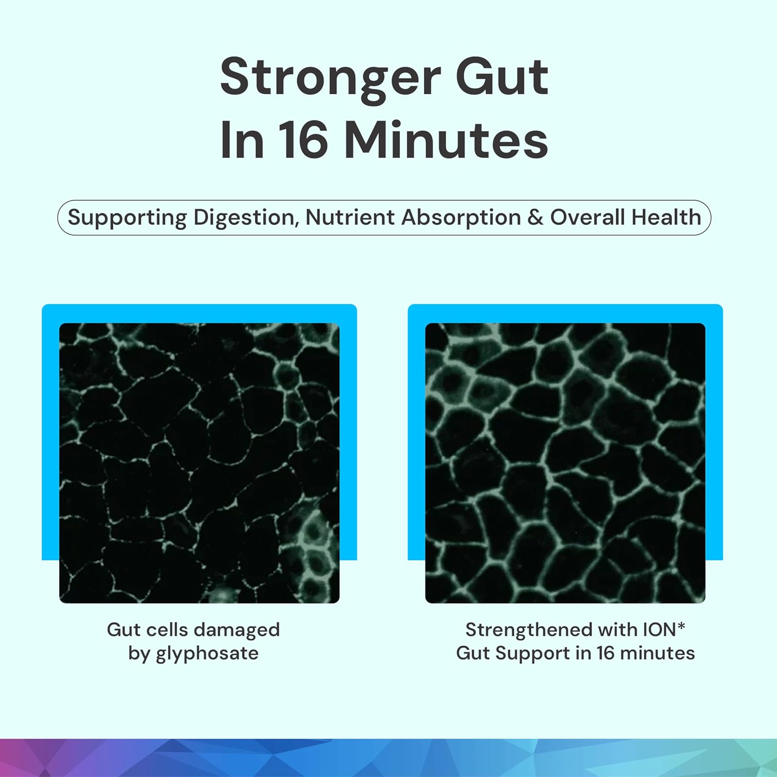 Probiotics for men’s gut health