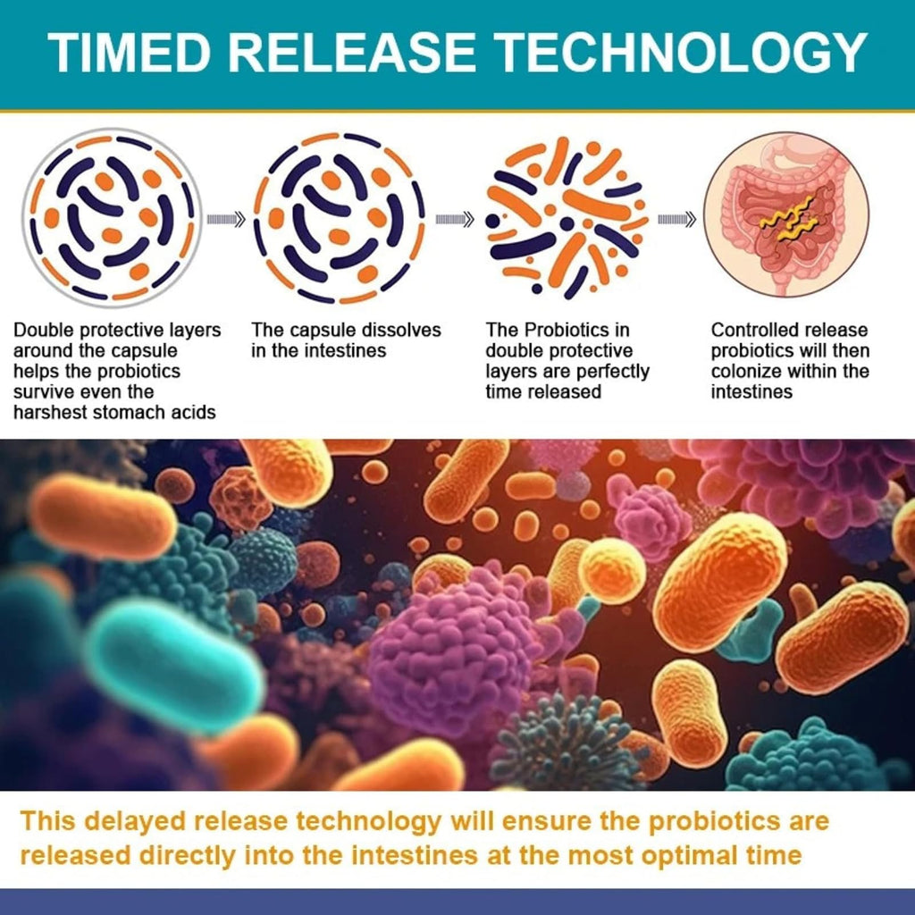 Probiotics for men’s immune support
