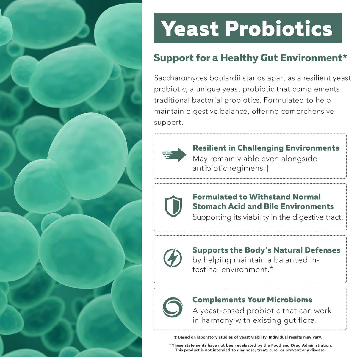 Probiotics for men’s wellness