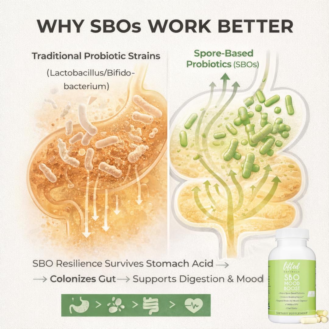 probiotics for men to enhance mood