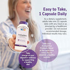 Probiotics for men to support immunity