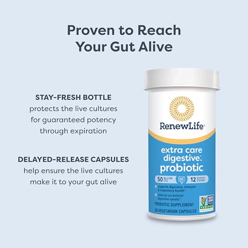 Probiotics for men to support wellness