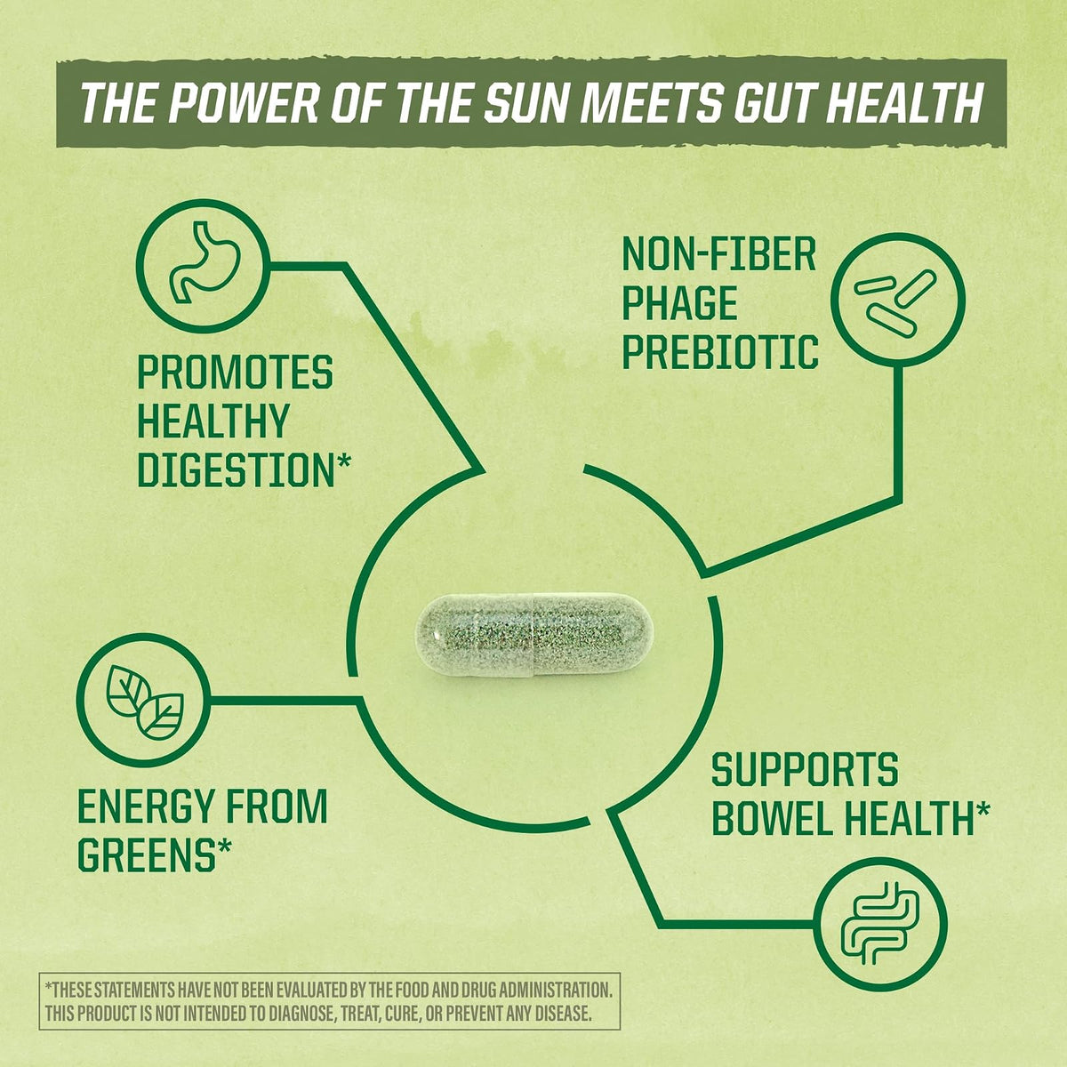 probiotics for men with 10 billion CFU